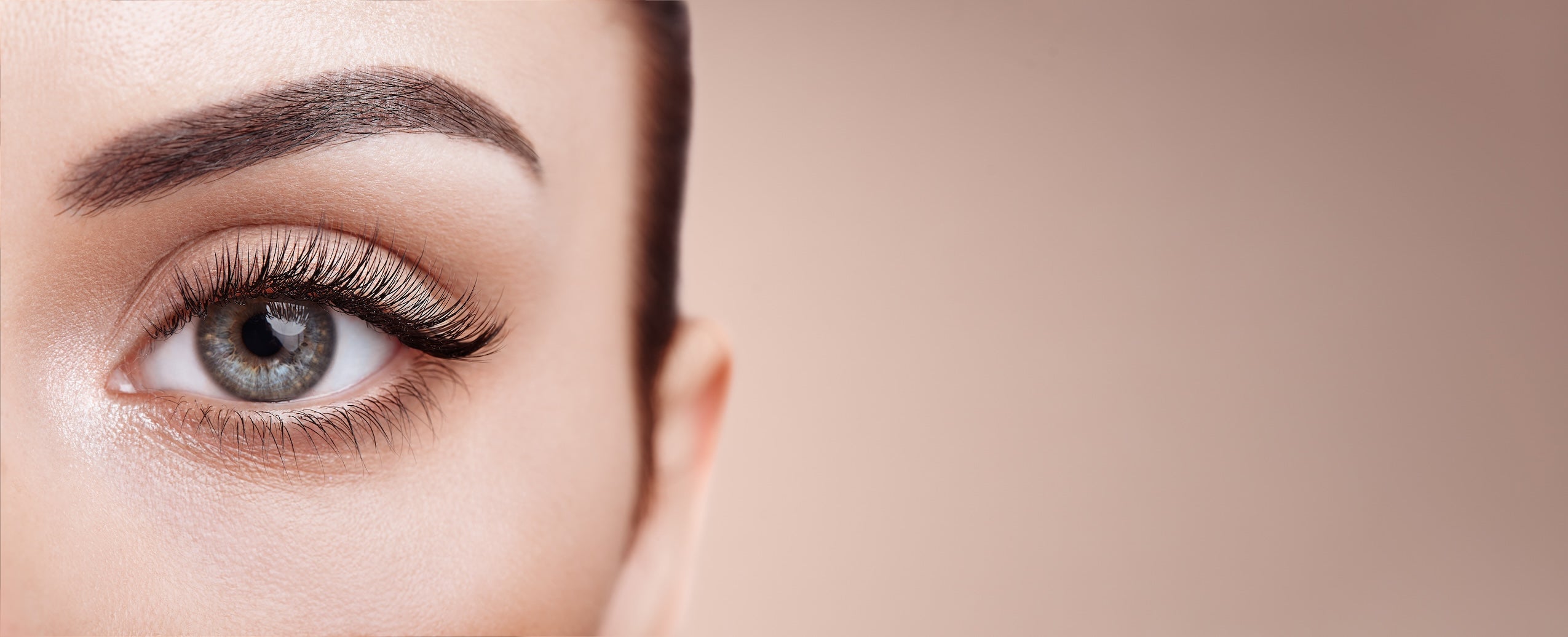 Lash Adhesive – Eyebrow Ink Shop