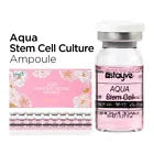 *AUTHENTIC* Stayve Aqua Stem Cell Culture Serum (10 x 8ml) – Eyebrow ...